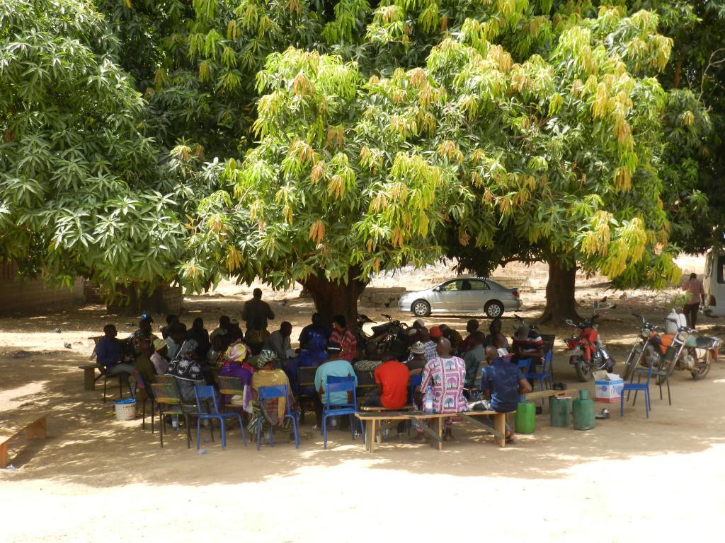 Ict-systemen helpen Malinese boeren - Advalvas